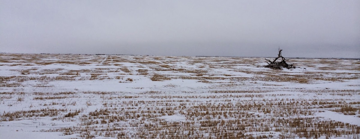 Bert Martin’s Cabin – Clayton McLain Memorial Museum